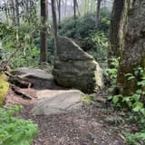 Grotto Falls via Trillium Gap Trail, Tennessee - 6,316 Reviews, Map ...