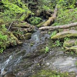 Grotto Falls via Trillium Gap Trail, Tennessee - 6,328 Reviews, Map ...
