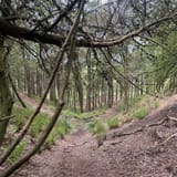 Raw Head Circular, Cheshire, England - 350 Reviews, Map | AllTrails