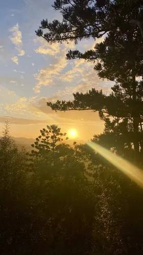 Best Hikes and Trails in Baga National Park | AllTrails