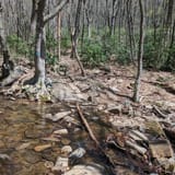 Graybeard Trail, North Carolina - 1,758 Reviews, Map | AllTrails