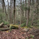 Arbutus Park and Raven Rookery Trail Loop , Massachusetts - 623 Reviews ...
