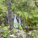 Jones Run Falls Trail, Virginia - 845 Reviews, Map | AllTrails