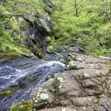 Jones Run Falls Trail, Virginia - 845 Reviews, Map | AllTrails