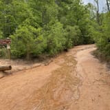 Canyon Loop Trail, Georgia - 2,261 Reviews, Map | AllTrails