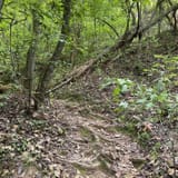 Canyon Loop Trail, Georgia - 2,261 Reviews, Map | AllTrails