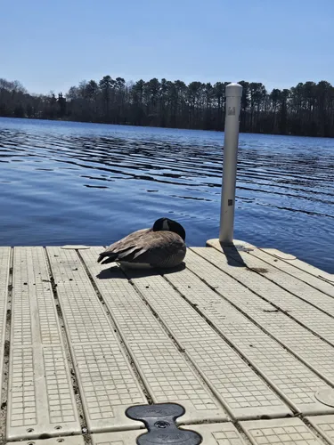 Best Hikes and Trails in Galloway Township | AllTrails