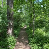 Star Trail, Virginia - 1,194 Reviews, Map | AllTrails