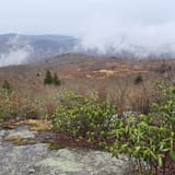 Mount Rogers Loop Trail, Virginia - 391 Reviews, Map | AllTrails