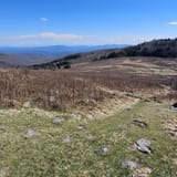 Mount Rogers Loop Trail, Virginia - 391 Reviews, Map | AllTrails
