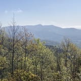 Fox Hunters Paradise Overlook, North Carolina - 22 Reviews, Map | AllTrails