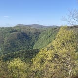Fox Hunters Paradise Overlook, North Carolina - 22 Reviews, Map | AllTrails