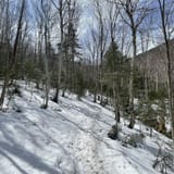 Mount Avalon, New Hampshire - 884 Reviews, Map | AllTrails