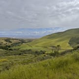 Point Sal Overlook, California - 655 Reviews, Map | AllTrails