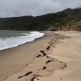 Point Sal Overlook, California - 655 Reviews, Map | AllTrails