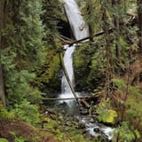 Murhut Falls Trail, Washington - 963 Reviews, Map | AllTrails