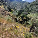 Waterfalls of Mount Diablo Loop, California - 2,348 Reviews, Map ...