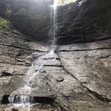 Fall Run Trail, Pennsylvania - 944 Reviews, Map | AllTrails