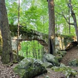 Sewanee Natural Bridge, Tennessee - 200 Reviews, Map | AllTrails