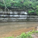 Window Cliffs Trail, Tennessee - 1,452 Reviews, Map | AllTrails