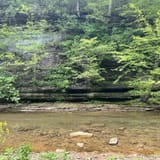Window Cliffs Trail, Tennessee - 1,452 Reviews, Map | AllTrails