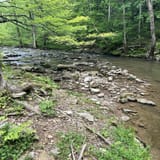 Window Cliffs Trail, Tennessee - 1,452 Reviews, Map | AllTrails