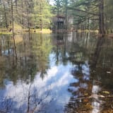 Dow Gardens Canopy Walk, Michigan - 138 Reviews, Map | AllTrails