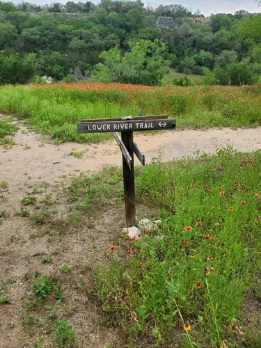 Best Hikes and Trails in Dripping Springs | AllTrails