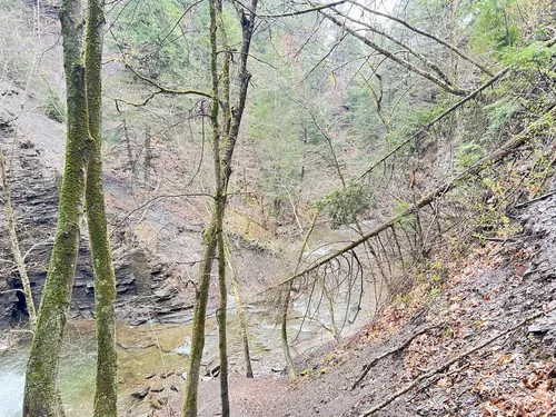 Best Waterfall Trails in High Tor Wildlife Management Area | AllTrails