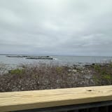 Sachuest Point National Wildlife Refuge Trail, Rhode Island - 1,781 ...