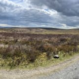 Long Mynd Circular, Shropshire, England - 1,051 Reviews, Map | AllTrails