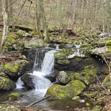 Falls Brook Falls, Connecticut - 320 Reviews, Map | AllTrails