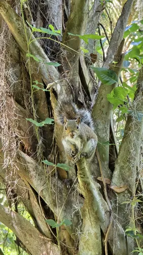 Best Walking Trails in Mount Dora | AllTrails