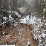 Seven Bridges Trail, Colorado - 7,225 Reviews, Map | AllTrails