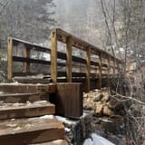 Seven Bridges Trail, Colorado - 7,225 Reviews, Map | AllTrails
