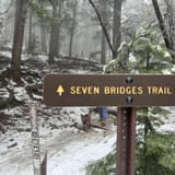 Seven Bridges Trail, Colorado - 7,225 Reviews, Map | AllTrails