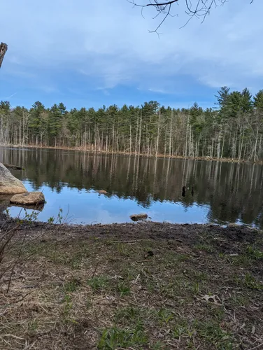 Best Walking Trails in Upton State Forest | AllTrails