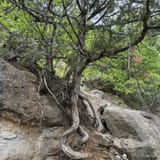 Bromide Hill Trail, Oklahoma - 420 Reviews, Map | AllTrails