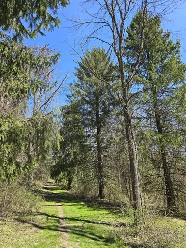 Best Kid Friendly Trails in Governor Dodge State Park | AllTrails