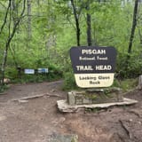 Looking Glass Rock Trail, North Carolina - 7,202 Reviews, Map | AllTrails