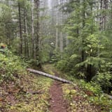 Mount Muller Trail, Washington - 165 Reviews, Map | AllTrails