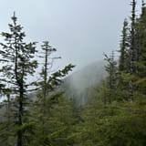 Mount Muller Trail, Washington - 190 Reviews, Map | AllTrails