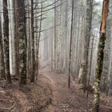 Mount Muller Trail, Washington - 190 Reviews, Map | AllTrails