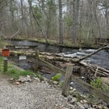 Stepstone Falls via Ben Utter Trail, Rhode Island - 1,595 Reviews, Map ...