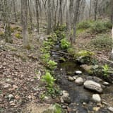Stepstone Falls via Ben Utter Trail, Rhode Island - 1,595 Reviews, Map ...