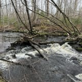 Stepstone Falls via Ben Utter Trail, Rhode Island - 1,595 Reviews, Map ...
