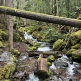 Skookum Flats Trail, Washington - 1,007 Reviews, Map | AllTrails