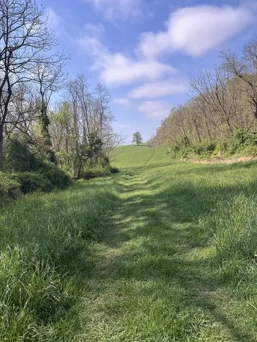 Best River Trails in Natural Lands' ChesLen Preserve | AllTrails