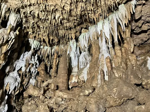 Best Forest Trails in Florida Caverns State Park | AllTrails