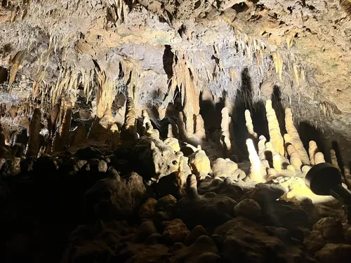 Best Forest Trails in Florida Caverns State Park | AllTrails